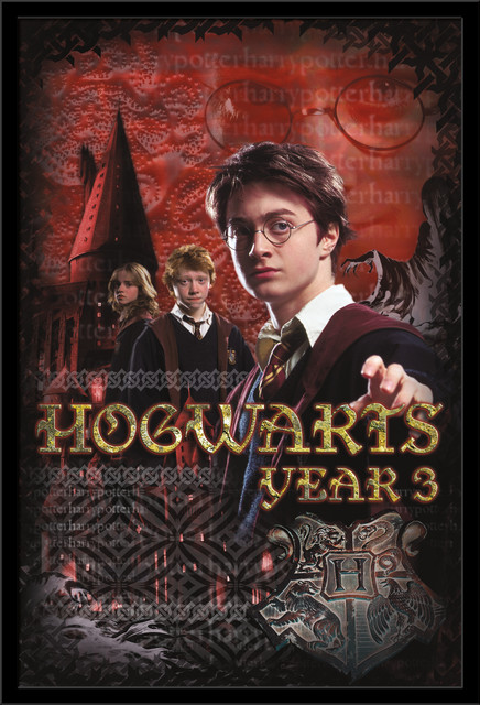 Harry Potter 3 Year 3 Poster, 24.25"x35.75" - Contemporary - Prints And ...