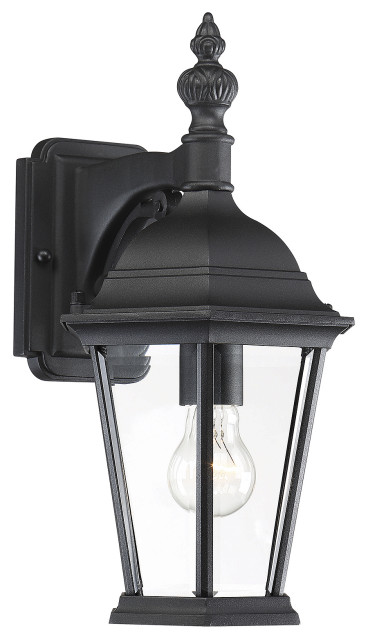 1-Light Outdoor Wall Lantern, Black - Traditional - Outdoor Wall Lights ...