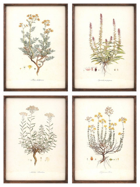 Framed Floral Print, 4-Piece Set - Farmhouse - Prints And Posters - by ...