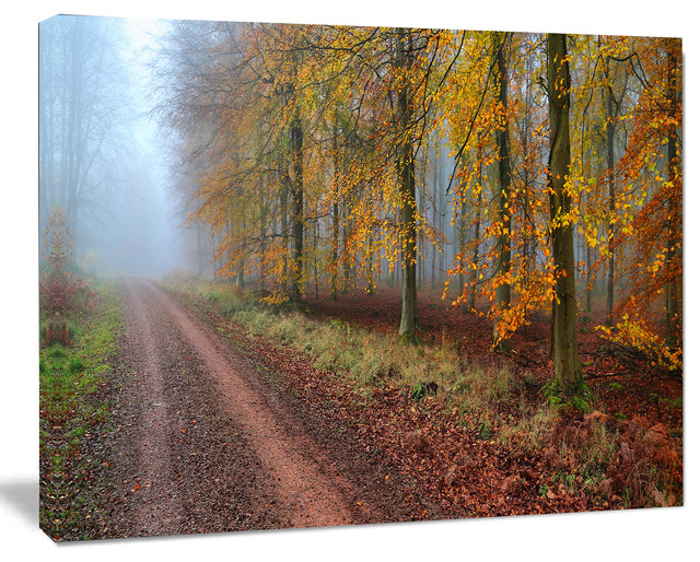 Raising Sun in Fall Forest Panorama, Forest Canvas Art Print, 20"x12 ...