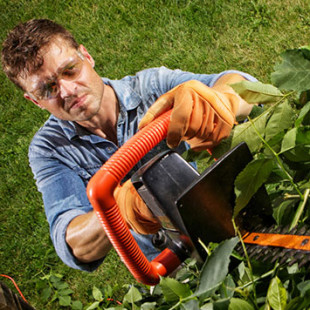 ARBORTECH TREE SERVICES LLC - Project Photos & Reviews - Westminster ...