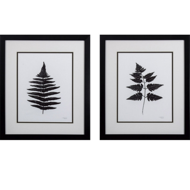 Black Pressed Fern Wall Art, 2-Piece Set - Tropical - Prints And ...