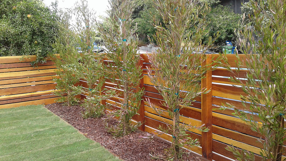 Hedge Plants--Hopseed - Landscape - Los Angeles - by Flores Artscape ...