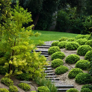 PHILIPS LANDSCAPING - Project Photos & Reviews - Engelwood, FL US | Houzz