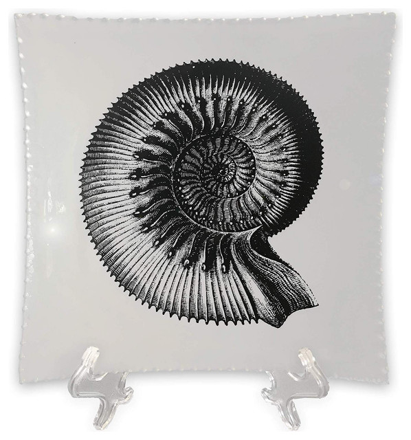 Decorative Tray with Display Stand with Nautilus Shell in Black & White ...