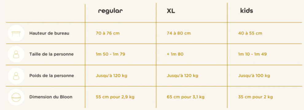 Le siège ballon Bloon-Adopter une assise ergonomique