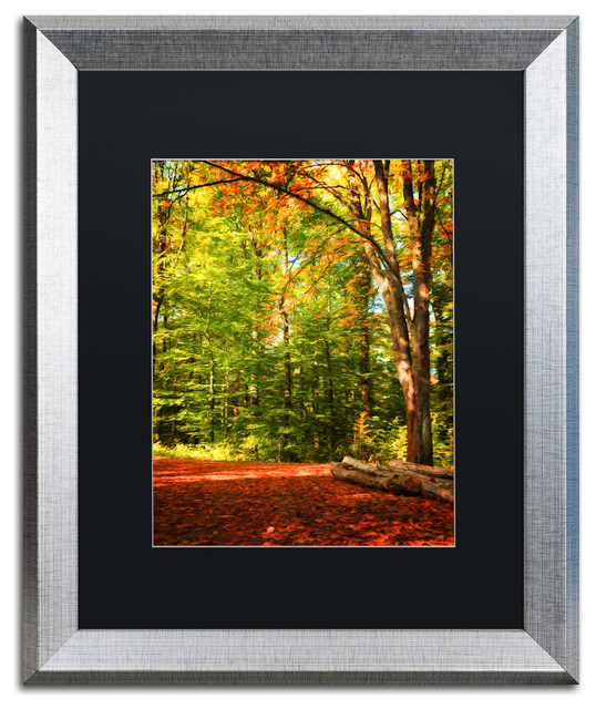 Philippe Sainte-Laudy 'Sideways Dreaming' Matted Framed Art, 16"x20 ...