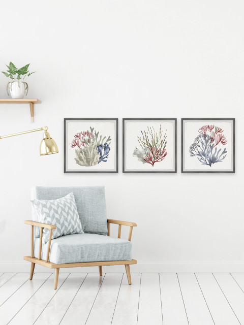 Marine Life Display Triptych, 3-Piece Set, 12x12 - Beach Style - Wall ...