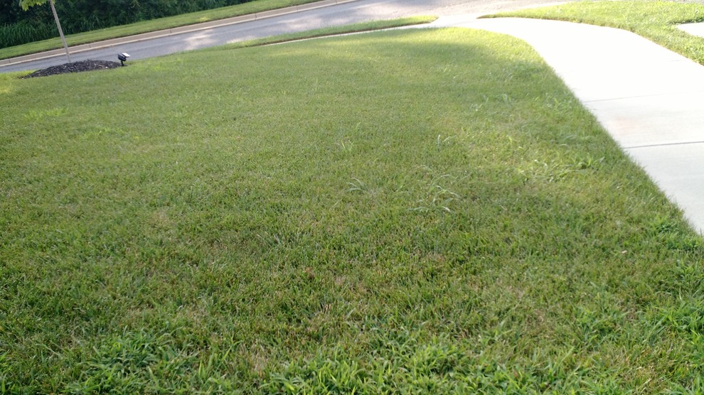 Bright Green Weed! HELP