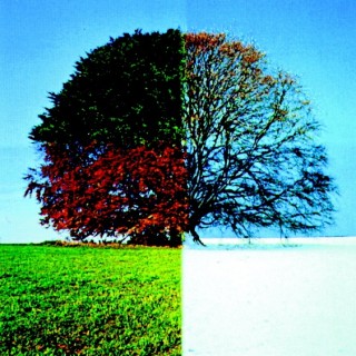 MEADOWBROOK DESIGN - Project Photos & Reviews - Walnut Creek, CA US | Houzz