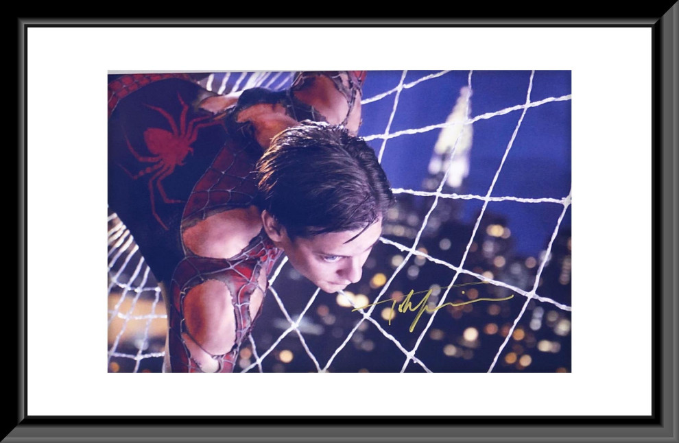 Spider-Man Tobey Maguire signed movie photo, 11x14 inches ...