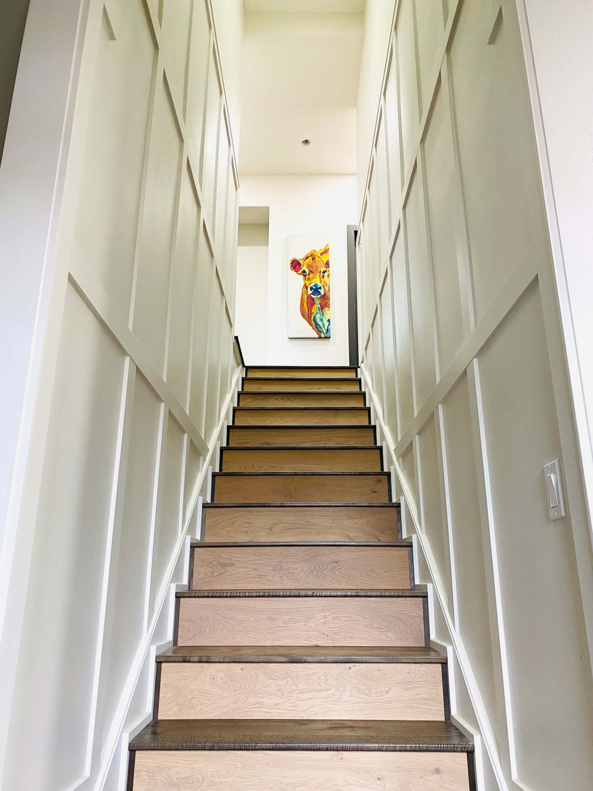 Stairway feature wall