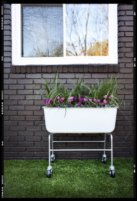 DIY Project: Mobile Container Garden