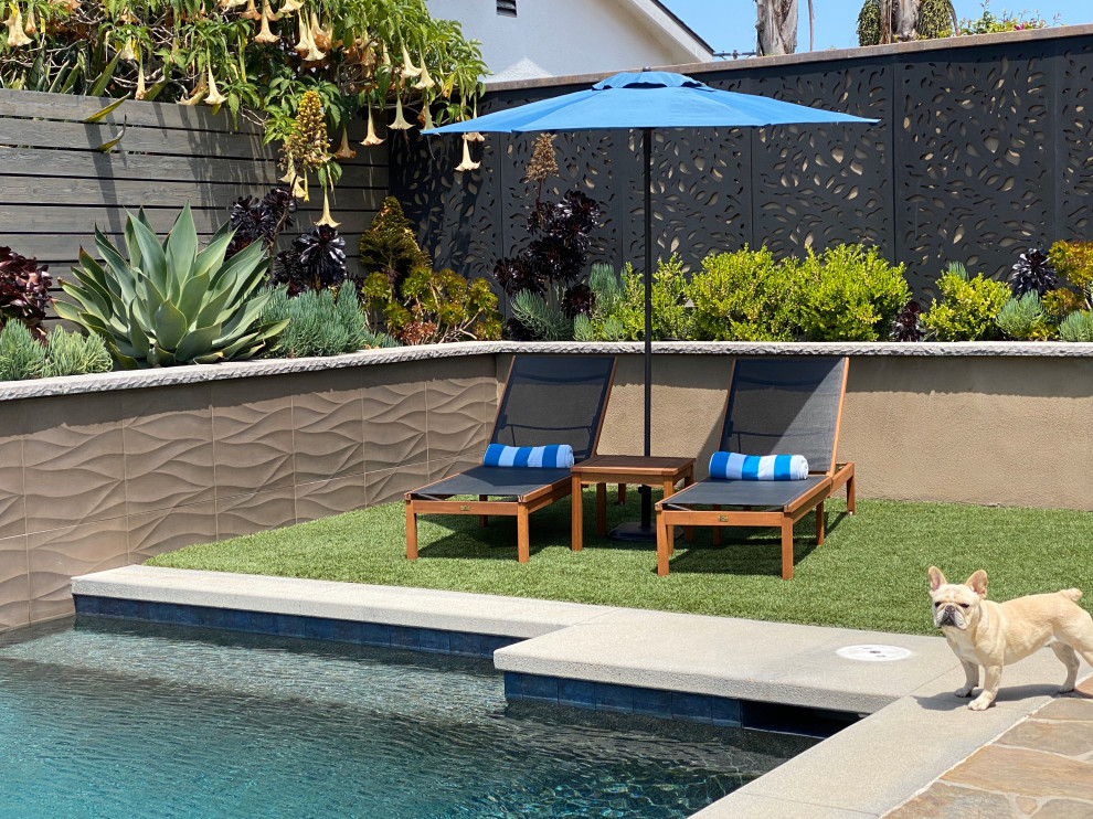 Lounge Area Side of the Pool - Contemporary - Pool - San Diego - by ...