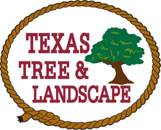 TEXAS TREE & LANDSCAPE - Project Photos & Reviews - Prosper, TX US | Houzz