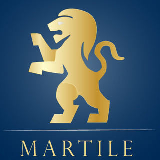 MARTILE - Project Photos & Reviews - Miami, FL US | Houzz