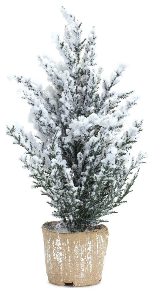 Potted Snowy Pine Tree, 6-Piece Set - Traditional - Artificial Plants ...