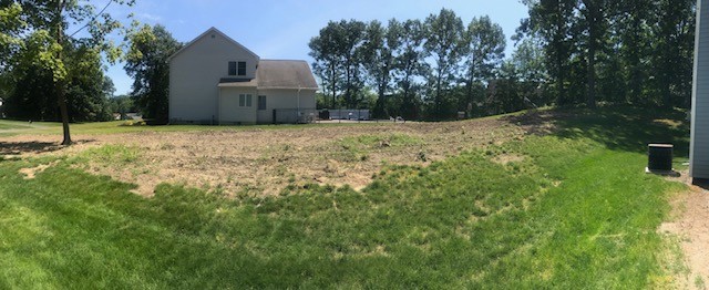 Suggestions for privacy border between houses - zone 5b