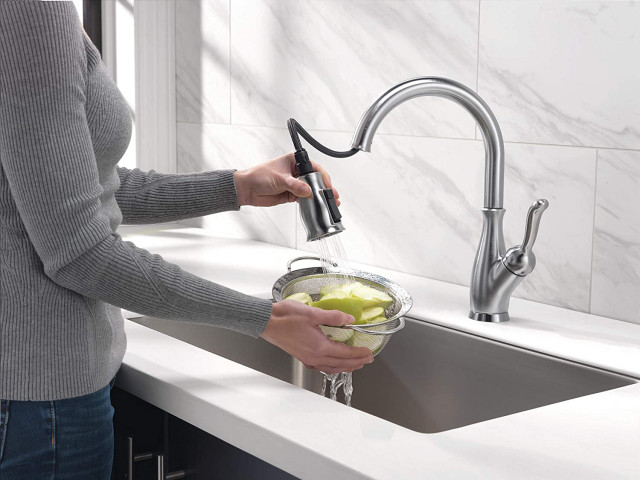 Arctic Stainless Kitchen Faucet with Pull-Down Sprayer and Magnetic ...