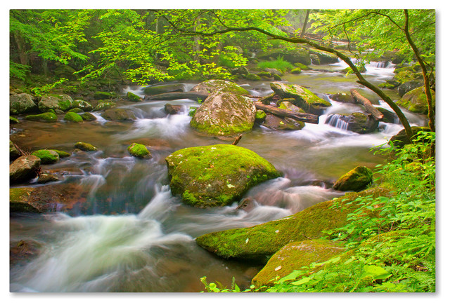 Bob Rouse 'Little River Rapids' Canvas Art, 12"x19" - Rustic - Prints ...