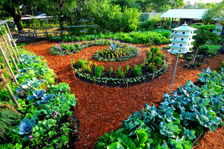 EASY EDIBLE LANDSCAPES-ORGANIC GARDEN DESIGN - Project Photos & Reviews ...