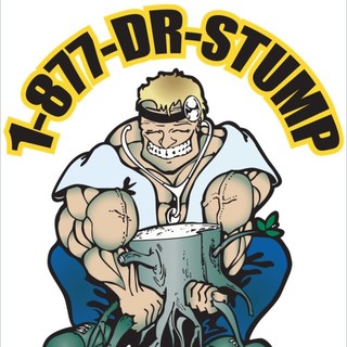 DR.STUMP - Project Photos & Reviews - Maple Ridge, BC CA | Houzz