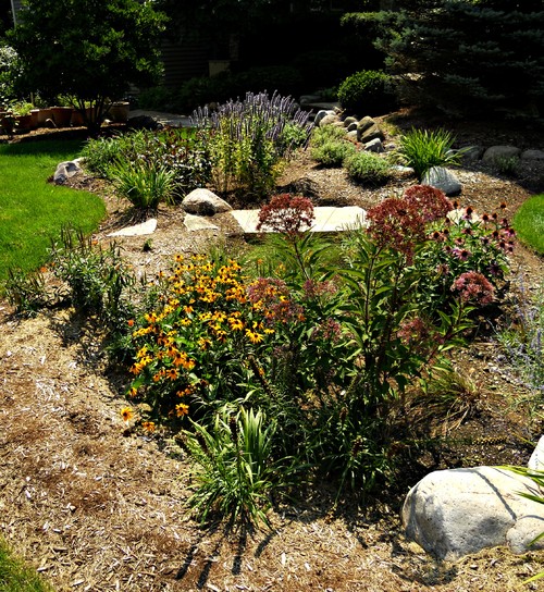 7 Design Tips for a Rain Garden | LeafFilter