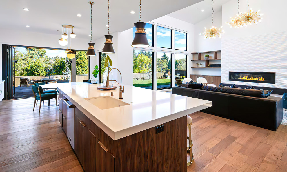 Panoramic Doors - Modern - Kitchen - Dallas - by Panoramic Doors | Houzz