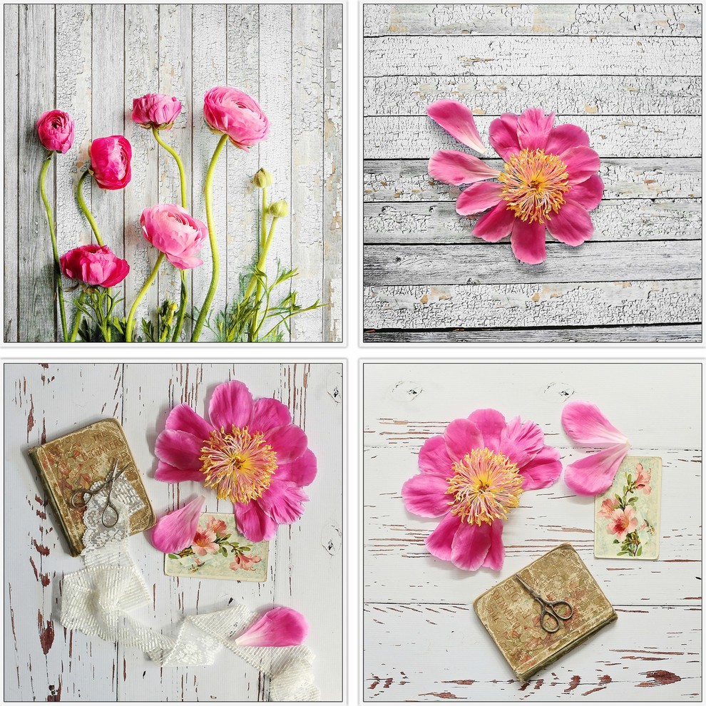 White Blooms Quadriptych - Contemporary - Prints And Posters - by ...