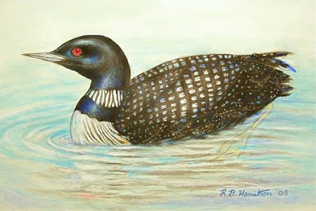 Loon Kitchen Towel - Two Sets of Two (4 Total), 16 inches x 25 inches ...