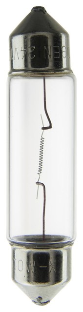 5 Watt T3.25 Xelogen, Festoon Base, Clear - Traditional - Krypton And ...