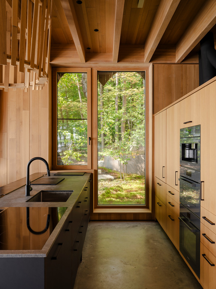 Tree House - Contemporary - Kitchen - Burlington - by Alchemy ...