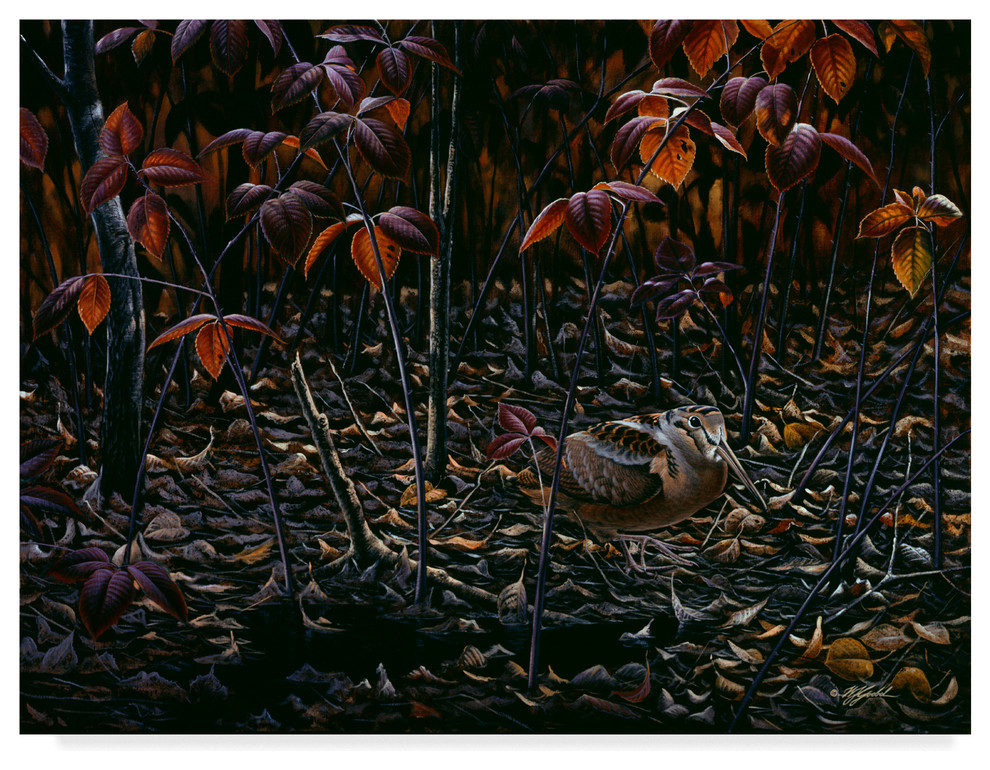 Wilhelm Goebel 'The Woodcocks World' Canvas Art, 32"x24" - Contemporary ...