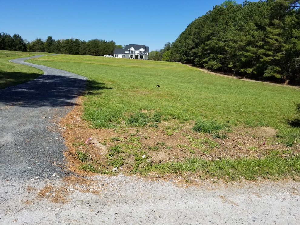 Need help deciding what trees to line driveway 500 ft