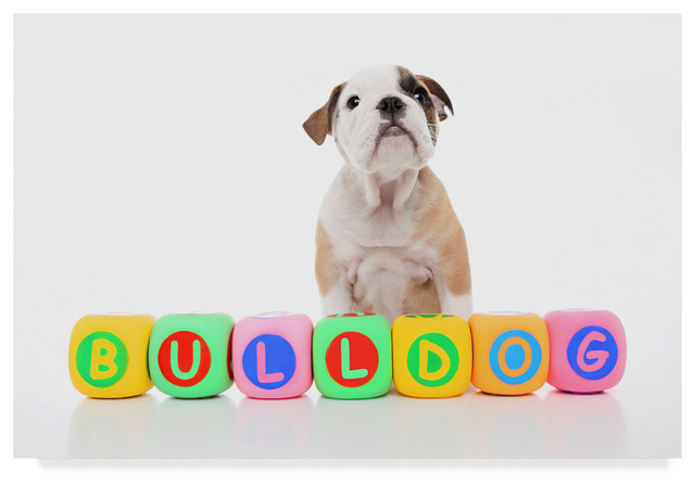 "Puppy Blocks" by Andrea Mascitti Puppies, Canvas Art, 12"x19 ...