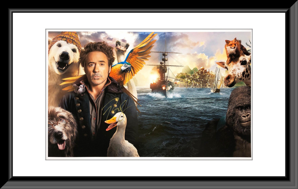 Dolittle signed movie poster, 27x40 inches - Contemporary - Prints And ...