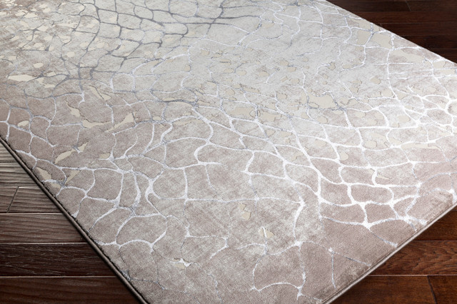 Machine Woven Neptune Area Rug NEP-1001, 2'x3'3" - Contemporary - Area ...