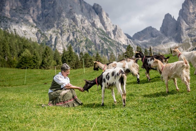 World of Design: See How 9 Families Live and Farm on Their Land | Houzz AU