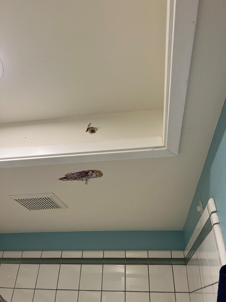 Bathroom soffit/structural beam