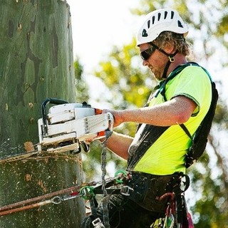 ADELAIDE TREE REMOVALS - Project Photos & Reviews - Hove, SA, AU AU | Houzz