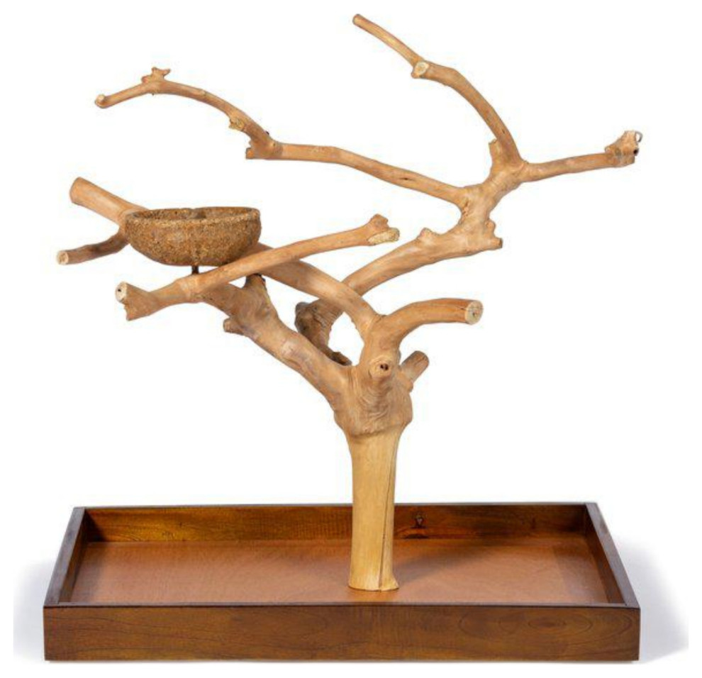 Coffeawood Tree Mini Table Top Medium - Rustic - Decorative Objects And ...