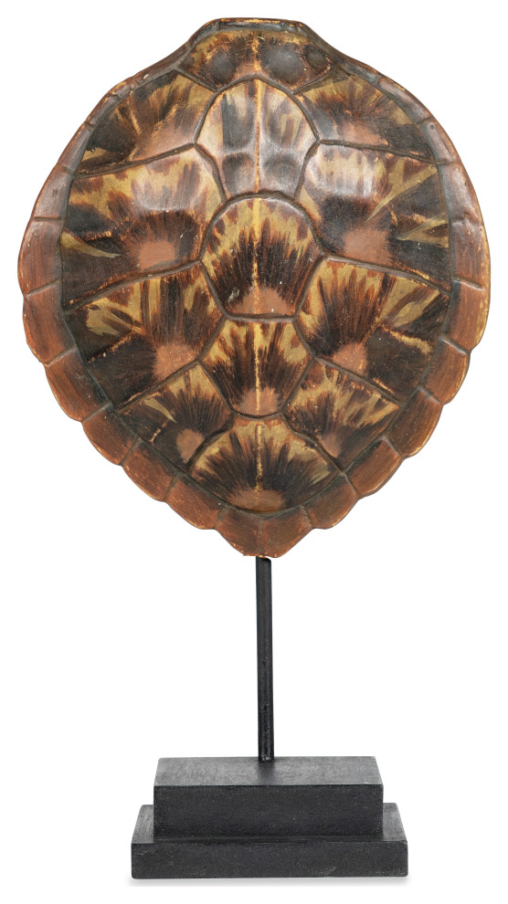 Faux Loggerhead Turtle Shell on Stand - Eclectic - Decorative Objects ...