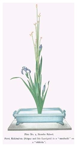 Futoi, Kakitsubata (Scirpus & Iris Laevigata) in a Sunabachi, 20" x 30 ...