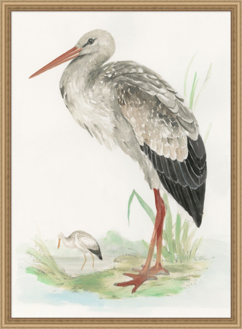 Waterbird 2, Giclee Reproduction Artwork, 39.25x53.25 - Traditional ...