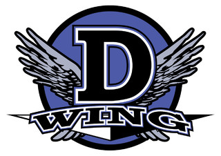 D-WING CONSTRUCTION - Project Photos & Reviews - Aurora, IL US | Houzz