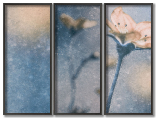 Blue Winter Framed 3-Piece Wall Art Set by Delphine Devos, 12"x24" - Contemporary - Prints And ...