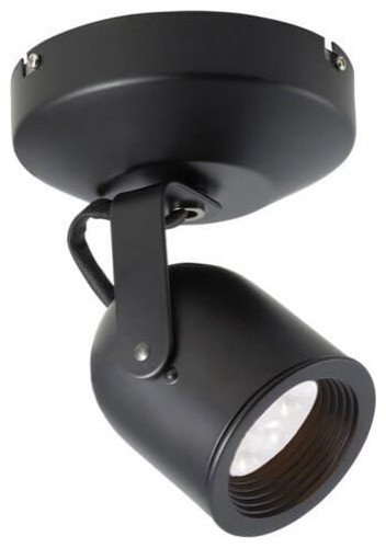 WAC Lighting 120V 1-Light LED Monopoint 808 Monopoint in Black, 2.750 ...