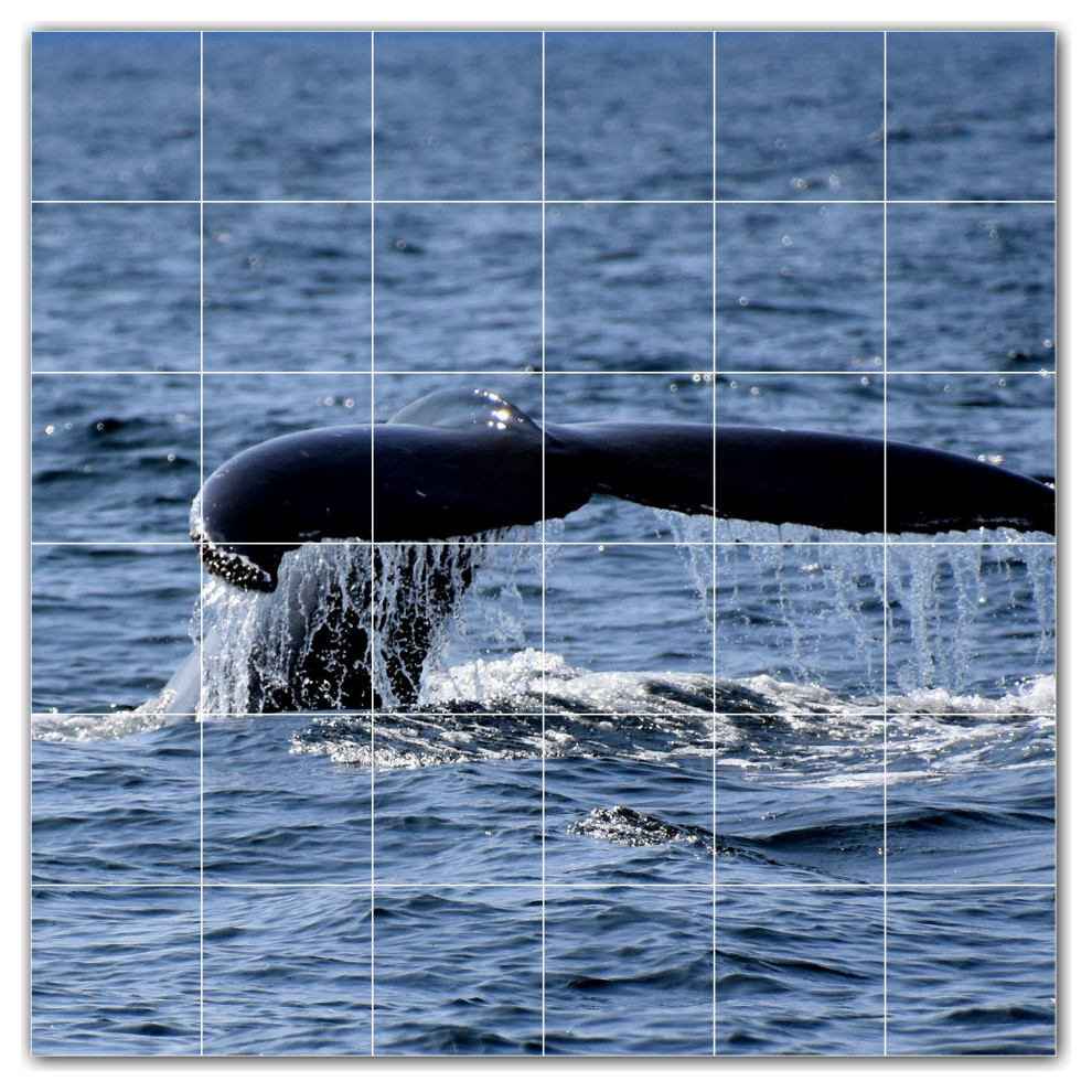 Whale Ceramic Tile Wall Mural HZ501195, 48" Wide x 48" High - Beach ...