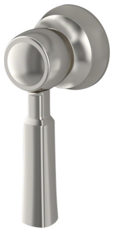 Toto Trip Lever Brushed Nickel Plated With Arm Spare Part - Toilet ...