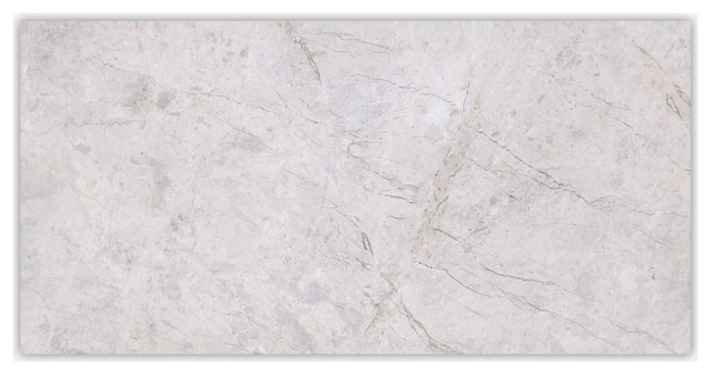 Silver Gray Dark Polished 3x6 Marble Tile, 3x6 - Traditional - Wall And ...